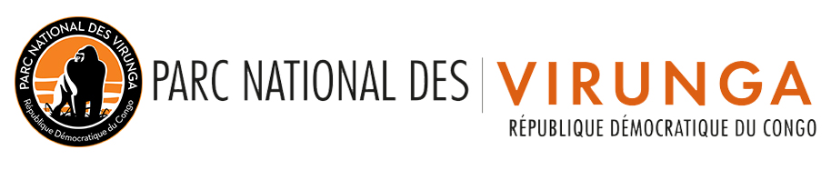 Home | Virunga Foundation